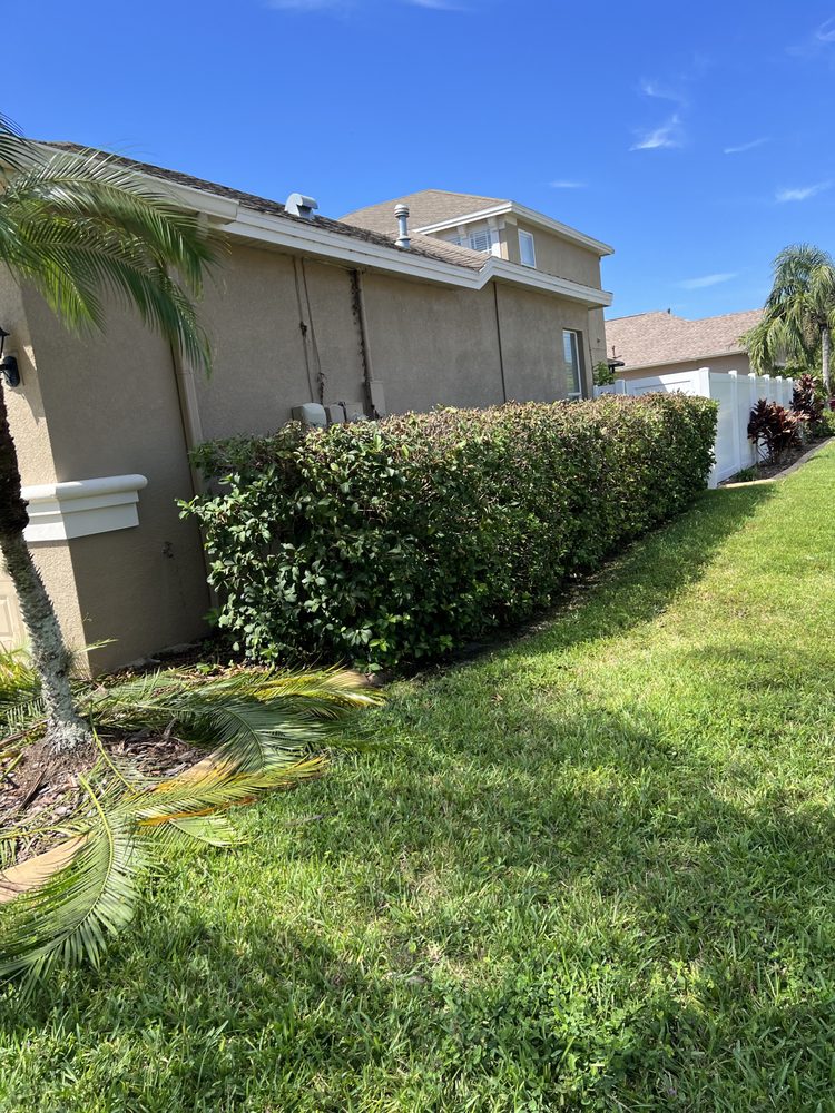 TRIPLE A’S CUTZ - Updated December 2025 - 33 Photos - Zephyrhills ...