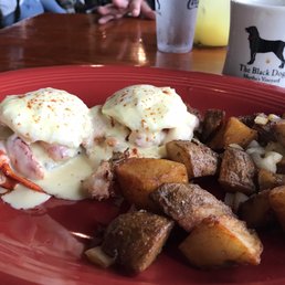 THE BLACK DOG TAVERN - 366 Photos & 494 Reviews - 20 Beach St Ext ...