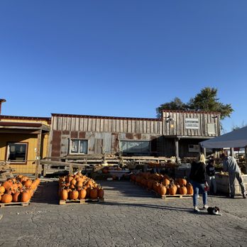 LOUISBURG CIDER MILL - Updated May 2026 - 193 Photos & 109 Reviews ...