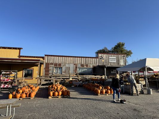 LOUISBURG CIDER MILL - Updated May 2025 - 168 Photos & 104 Reviews ...