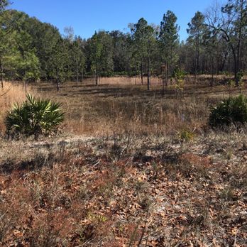 BRANAN FIELD WILDLIFE & ENVIRONMENTAL AREA - Updated December 2025 - 30 ...