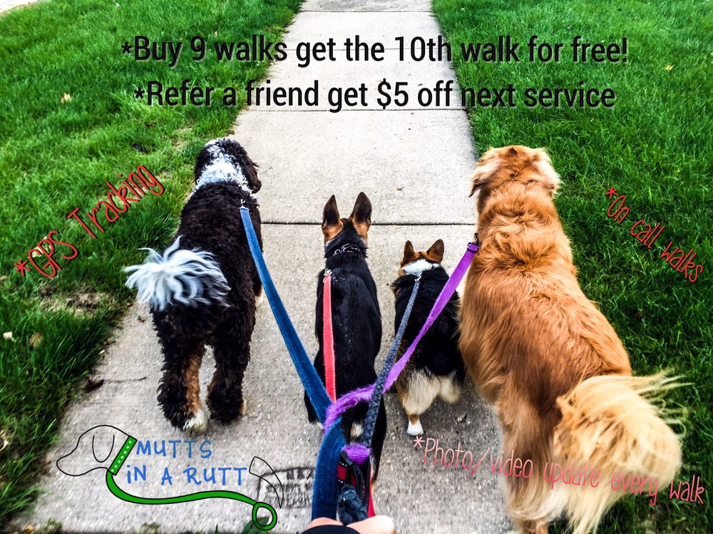 MUTTS IN A RUTT - Updated November 2025 - Arlington Heights, Illinois ...