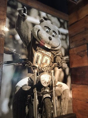 SALLY’S SALOON - 86 Photos & 135 Reviews - 700 Washington Ave SE ...