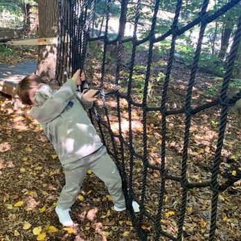 TREEHOUSE WORLD - Updated July 2025 - 118 Photos & 51 Reviews - 1442 ...