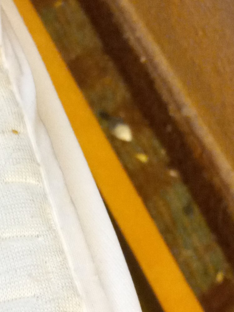 DAYS INN & SUITES BY WYNDHAM SPOKANE AIRPORT AIRWAY HEIGHTS - Updated ...