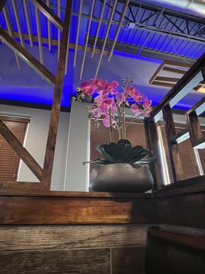 VOLCANO KOREAN BBQ & HOT POT - Updated June 2026 - 135 Photos & 93 ...