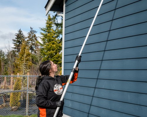 RAMBO TOTAL PEST CONTROL - PUYALLUP - Updated December 2025 - 74 Photos ...