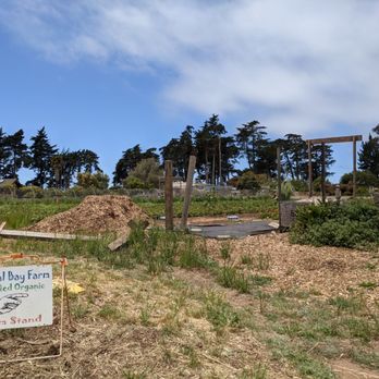 CRYSTAL BAY FARM - Updated November 2024 - 147 Photos & 68 Reviews - 40 ...