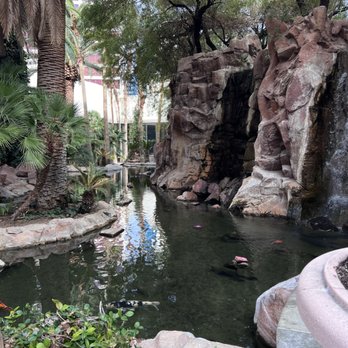 WILDLIFE HABITAT - Updated March 2025 - 482 Photos & 96 Reviews - 3555 ...