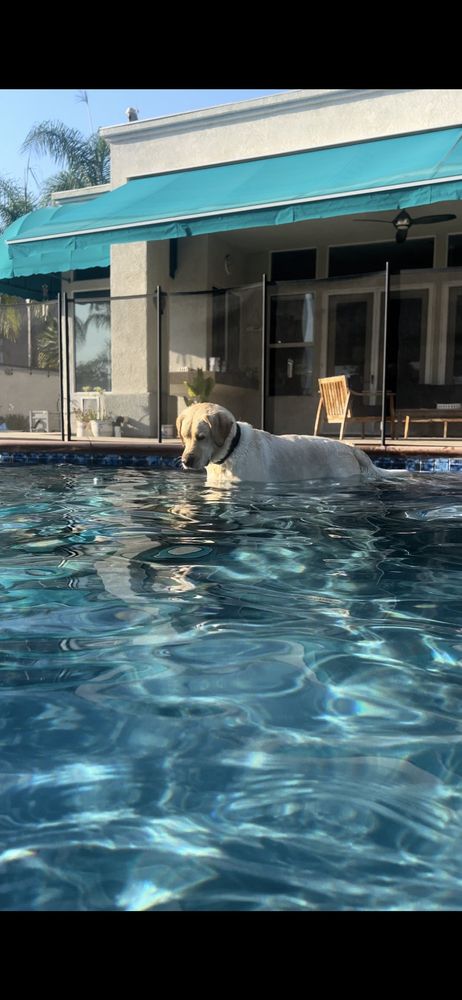 SOCIAL K9 DOG DAYCARE & BOARDING - Updated July 2024 - Request Information - 19 Photos ...