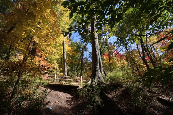 GLEN STEWART RAVINE - Updated December 2024 - 193 Photos - Glen Manor ...