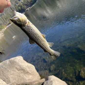 JOHNSONDALE BRIDGE RIVER TRAIL - Updated December 2025 - 30 Photos - 26 ...