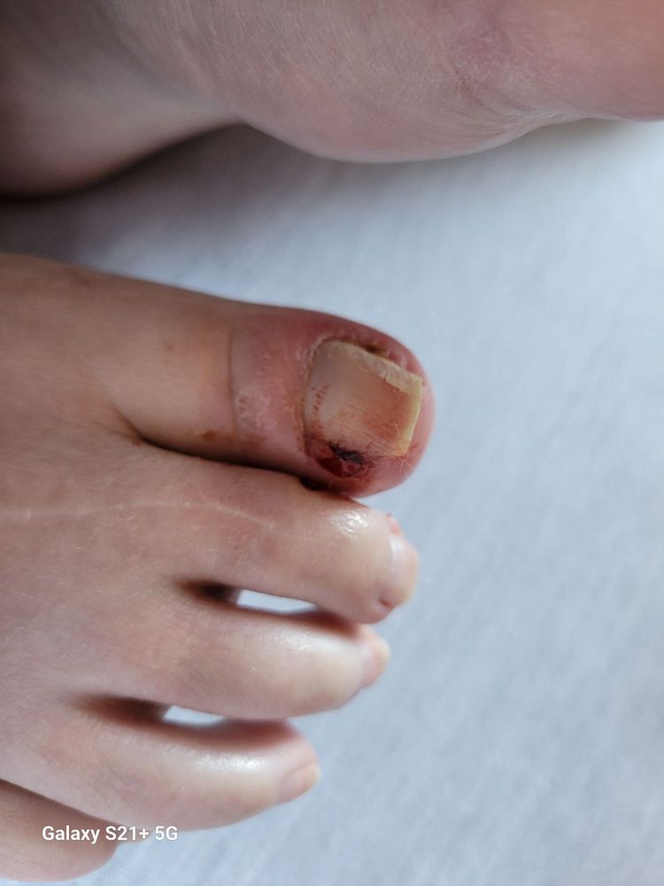 TRACY BASSO - Updated July 2025 - 15 Photos & 37 Reviews - 635 Anderson ...