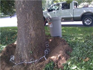 BUCHANAN EXPERT TREE CARE - Updated June 2026 - 11 Photos - 370 Welland ...