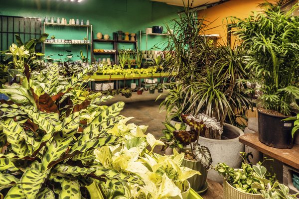 JUNGLE BOX - 74 Photos & 25 Reviews - 1735 E McDowell Rd, Phoenix ...