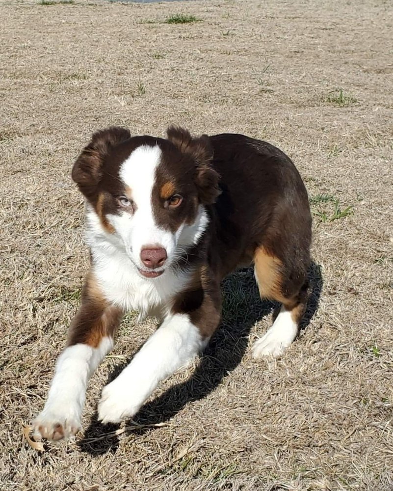 STACEY COUNTRY CUTS - Updated May 2024 - 16 Photos - 3002 US 380 ...