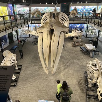 SKELETONS MUSEUM OF OSTEOLOGY - Updated February 2025 - 543 Photos ...