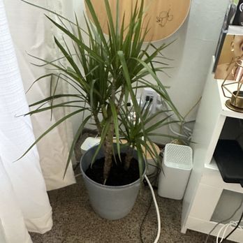 IKEA - Updated October 2025 - 399 Photos & 148 Reviews - 945 Market St ...