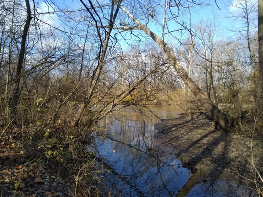 RUSH RUN PARK - Updated December 2024 - 19 Photos - 200 Broadmeadow ...