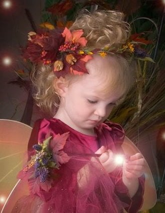 SALLY PUCKETT PHOTOGRAPHY - Updated March 2025 - 401 S Market St ...