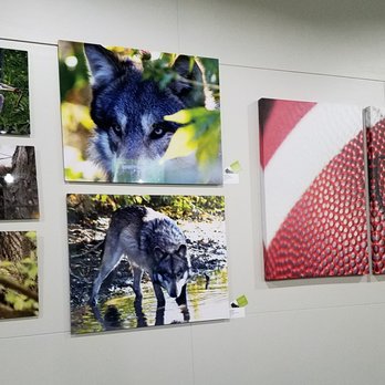 HOG MOLLY BREWING - Updated August 2025 - 93 Photos & 25 Reviews - 1405 ...