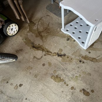 POINTE PEST CONTROL - Updated October 2025 - 14 Photos & 55 Reviews ...