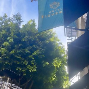 BAR MAGNOLIA - 66 Photos & 48 Reviews - 939 S Figueroa St, Los Angeles ...