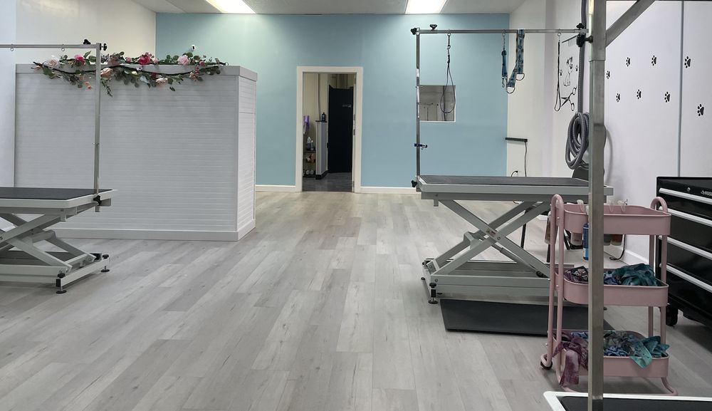 PAWSITIVE VIBES PET GROOMING - Updated January 2026 - 24 Photos - 1256 ...