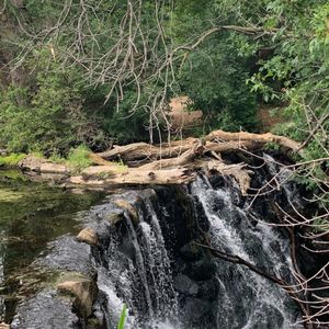 SCHLITZ AUDUBON NATURE CENTER - 101 Photos & 33 Reviews - Parks - 1111 ...