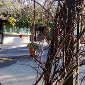 UCR BOTANIC GARDENS - Updated March 2025 - 646 Photos & 130 Reviews - 1 ...