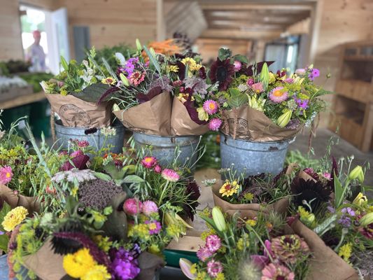 BEECH HILL FARM - Updated December 2025 - 33 Photos & 10 Reviews - 171 ...