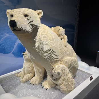 DENVER MUSEUM OF NATURE AND SCIENCE - Updated April 2026 - 4769 Photos ...