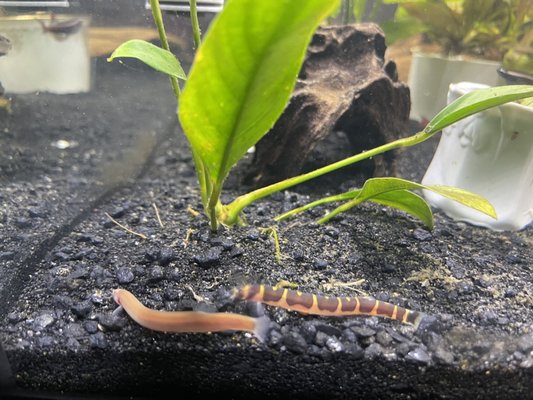 WET SPOT TROPICAL FISH - Updated December 2025 - 96 Photos & 275 ...