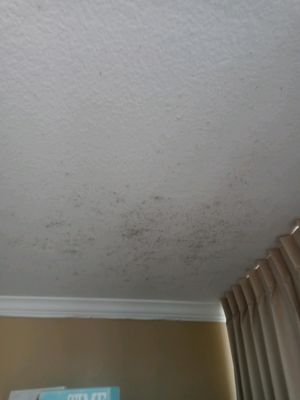 SEE YA AT THE BEACH - Updated August 2024 - 10610 Front Beach Rd ...