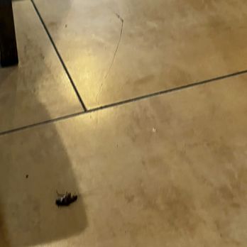 CHUTNEY - Updated October 2025 - 437 Photos & 1354 Reviews - 511 Jones ...