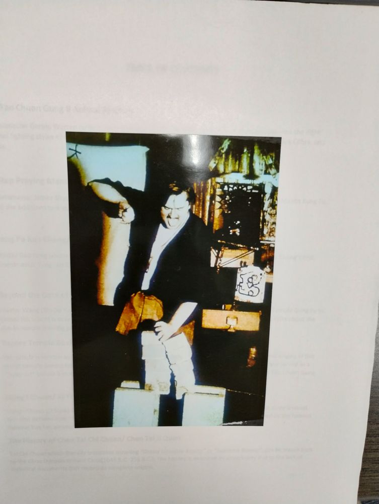 CHING LUNG PAI - Updated August 2024 - Chicago, Illinois - Chinese ...