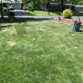 TREEMASTERS - Updated January 2026 - 29 Photos & 26 Reviews - 549 ...