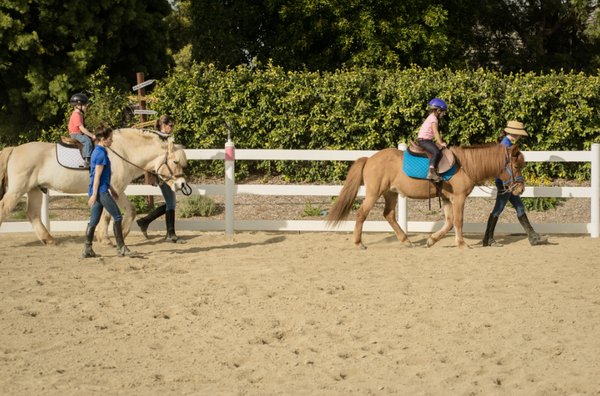 SENECA FAMILY OF AGENCIES - Updated October 2025 - 153 Photos & 47 ...