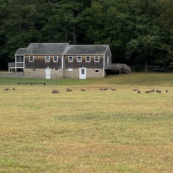 CAMP WING - Updated January 2026 - 106 Photos & 12 Reviews - 742 Keene ...