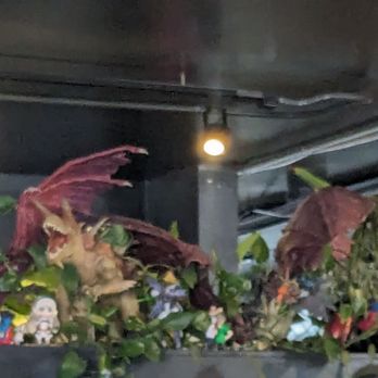 CORAL SWORD - Updated September 2025 - 245 Photos & 169 Reviews - 1318 ...