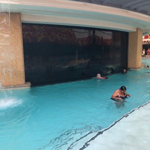 GOLDEN NUGGET POOL - 321 Photos & 174 Reviews - 129 E Fremont St, Las ...