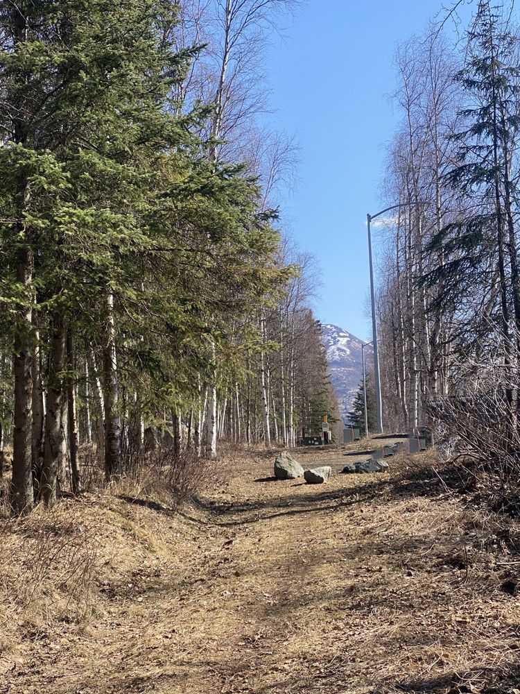 ARNOLD L. MULDOON PARK - Updated April 2024 - 15 Photos - 7600 E ...