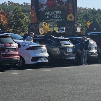 MERCIER ORCHARDS - 956 Photos & 633 Reviews - 8660 Blue Ridge Dr, Blue ...