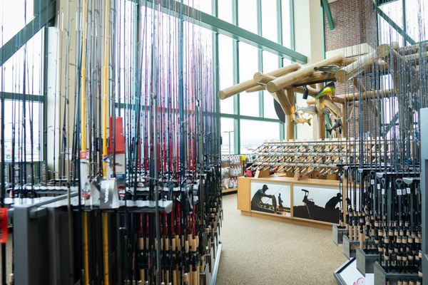 SCHEELS - Updated December 2025 - 317 Photos & 262 Reviews - 11282 S ...