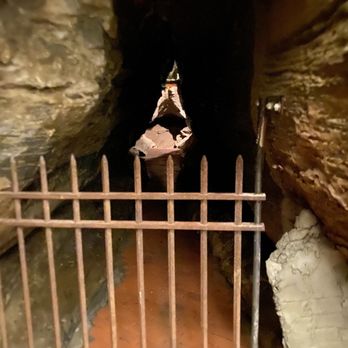Howe Caverns - Trusted Since 1929 - Updated July 2025 - 578 Photos ...