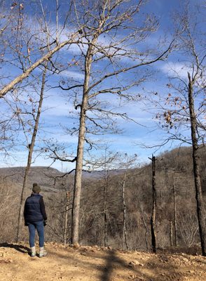 WILDERNESS RIDER BUFFALO RANCH & ADVENTURE PARK - Updated November 2024 ...