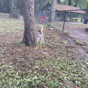 MCKOY PARK - Updated July 2025 - 58 Photos & 11 Reviews - 1000 Adams St ...