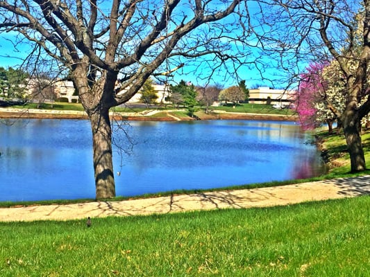 MISH HOSPITAL AND CLINICS - Updated October 2025 - 10951 Lakeview Ave ...