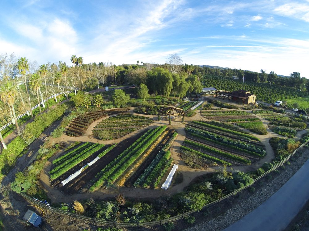 APRICOT LANE FARMS - Updated December 2025 - 116 Photos & 27 Reviews ...