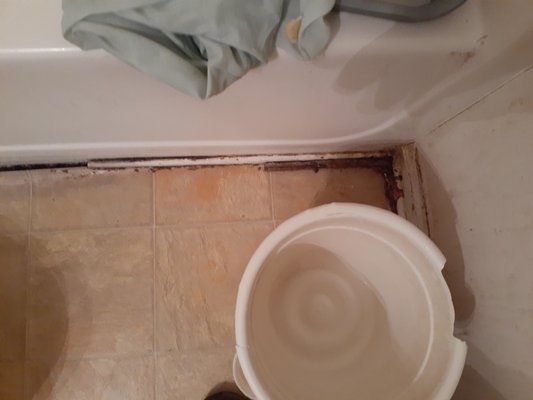 UNIVERSAL PROPERTY & CASUALTY INSURANCE COMPANY - Updated January 2026 ...